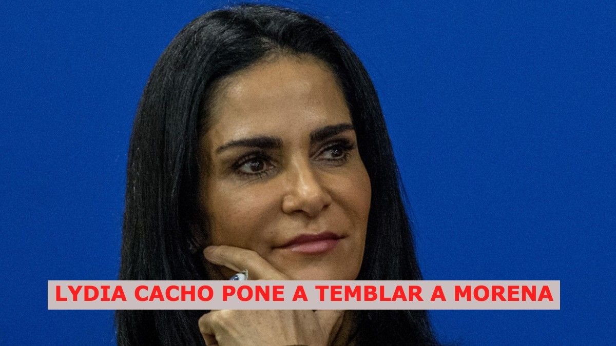 Preocupación en Morena Puebla por el activismo de Lydia Cacho ...